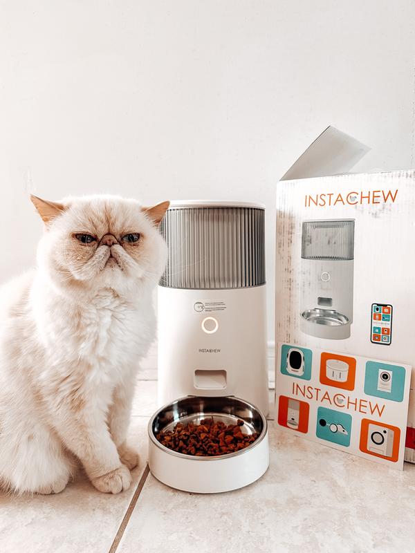 Out of Stock - INSTACHEW Purechew Mini Automatic Stainless Steel Smart ...