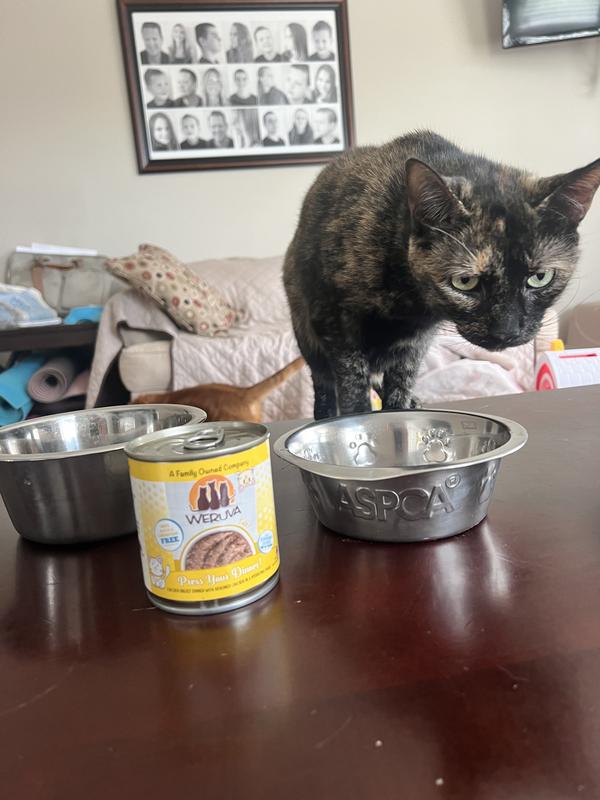 WERUVA Classic Cat Pate Big Time Bonus Round Variety Pack Wet Cat Food ...