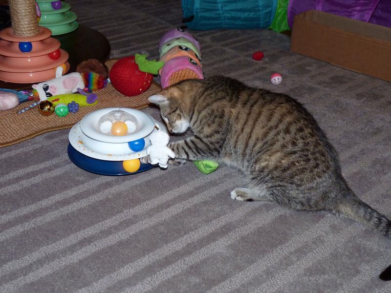 FRISCO Astronaut in Space Wobble & Spin Cat Tracks Cat Toy with Catnip ...