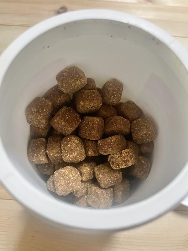 STRELLALAB Dog Probiotics Enzymes Prebiotics Fiber Digestive Supplement ...