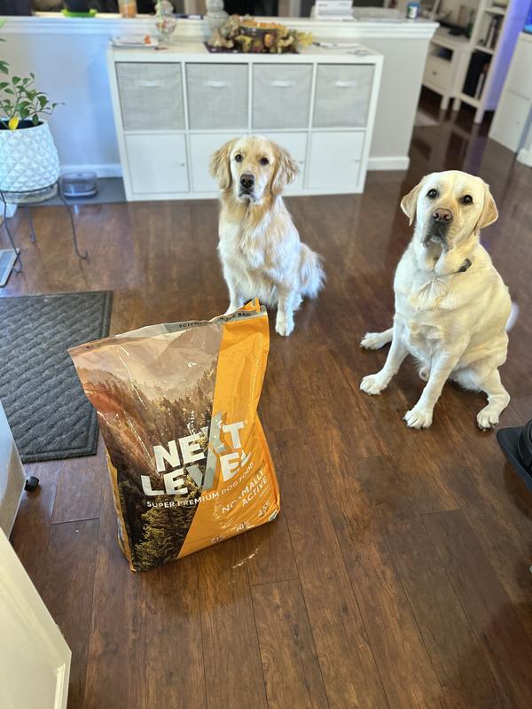 NEXT LEVEL SUPER PREMIUM PET FOOD Normally Active Adult Gluten-Free ...