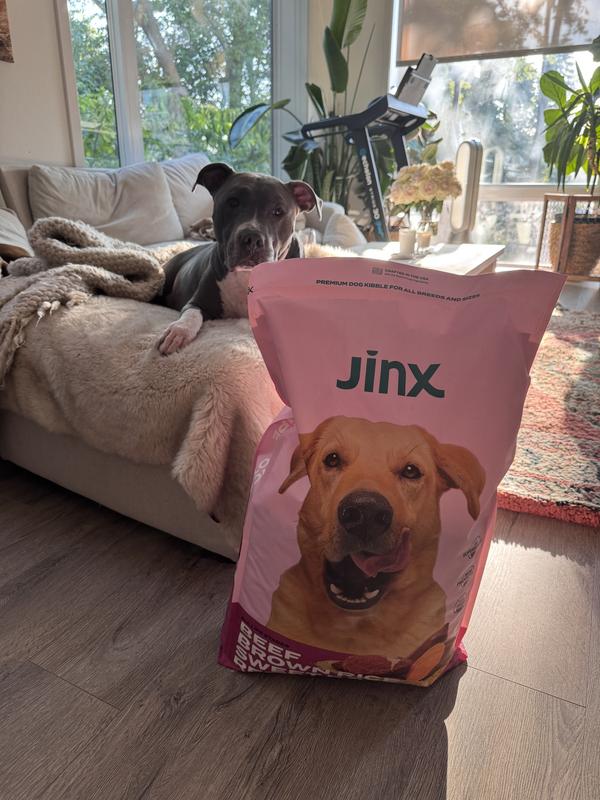 JINX Beef, Brown Rice & Sweet Potato ALS Kibble Dog Dry Food, 23.5-lb ...