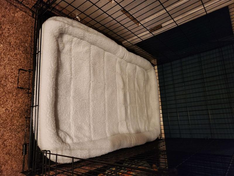 FRISCO Quilted Dog Crate Mat, Ivory, 54-in - Chewy.com