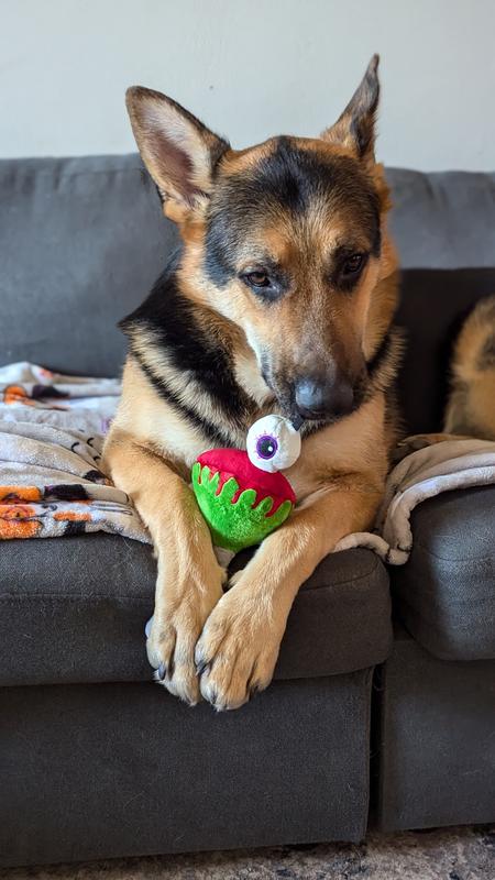 FRISCO Halloween Cocktail Plush Squeaky Dog Toy, Medium, 2 count ...