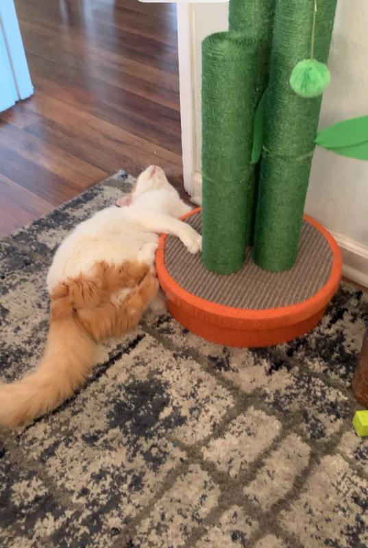 FRISCO Lucky Bamboo 35.5" Cat Scratching Posts with Toys - Chewy.com