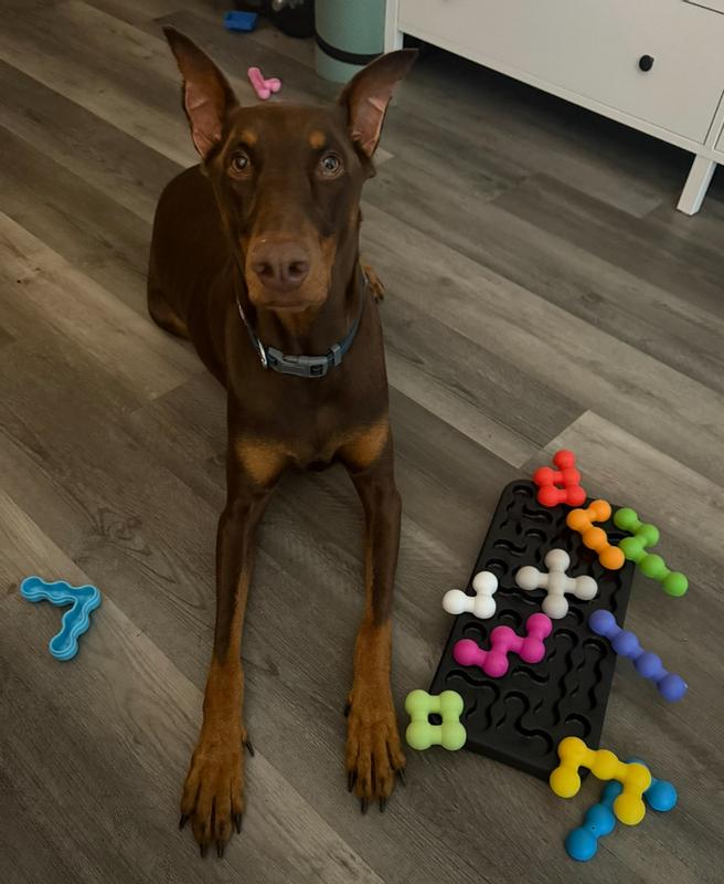 BRIGHTKINS Kanoodle Puzzle Dog Toy, Small - Chewy.com