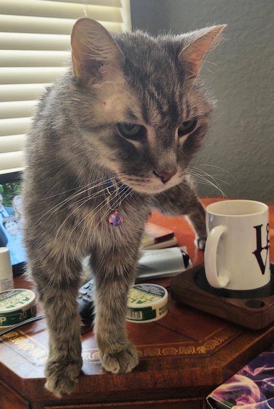 METHIMAZOLE COMPOUNDED Transdermal for Cats, 10-mg/0.1 mL, 6 mL, 2 ...