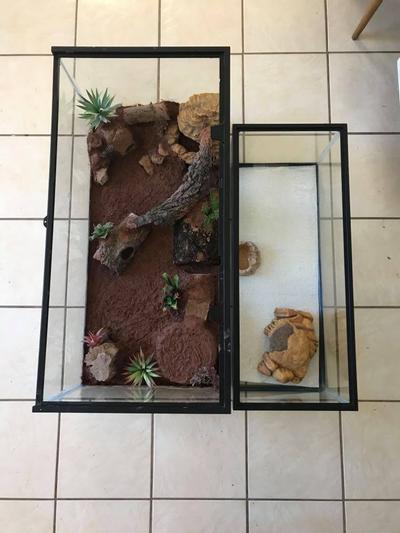 ZOO MED Excavator Clay Burrowing Reptile Substrate, 10-lb bag, bundle ...