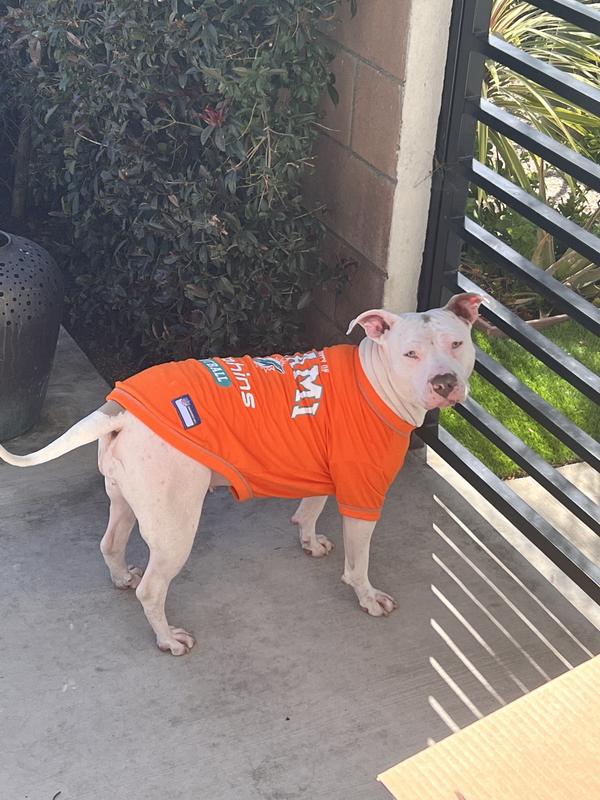 PETS FIRST NFL Dog & Cat T-Shirt, Kansas City Chiefs, Medium - Chewy.com