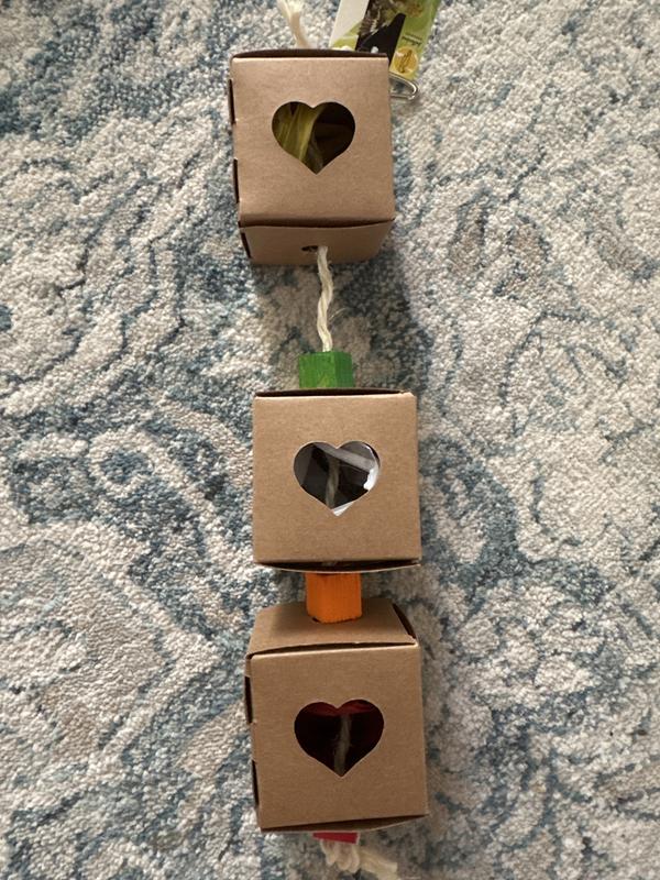 CAITEC Featherland Paradise Triple Foraging Box Bird Toy, Small - Chewy.com