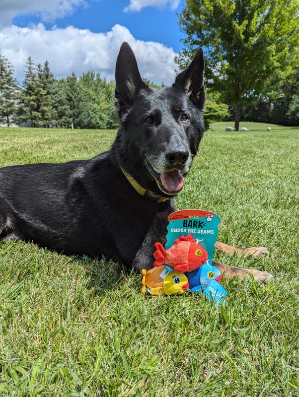 BARK The Groupers 3-in-1 Squeaky Plush Dog Toy - Chewy.com