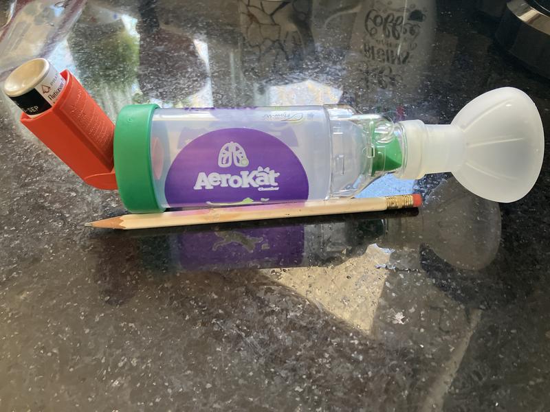 TRUDELL MEDICAL INTERNATIONAL AeroKat Cat Asthma Aerosol, 03/06/2024