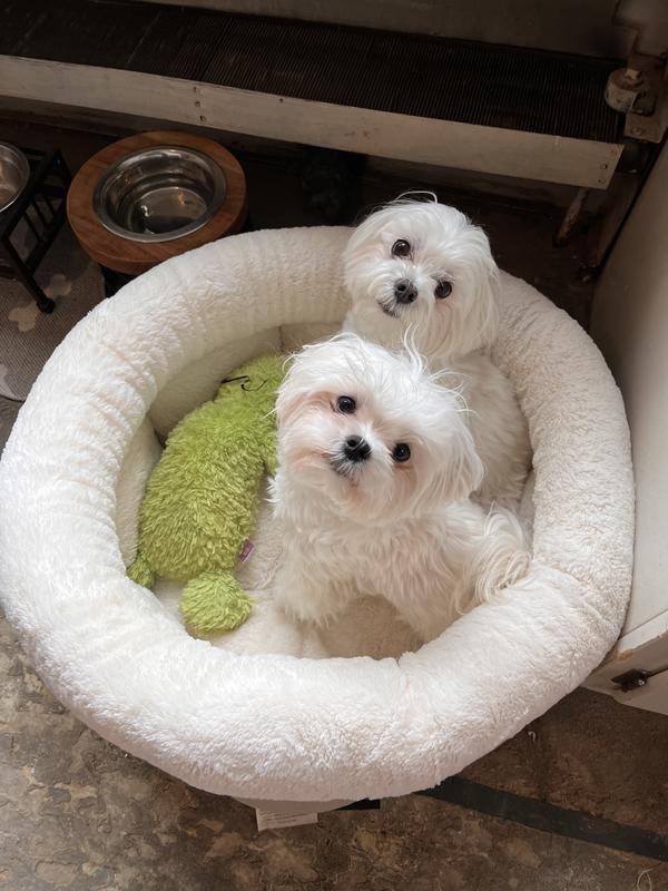 BEST FRIENDS BY SHERI Cuddle Cup Cuddler Bolster Cat & Dog Bed, Grey ...