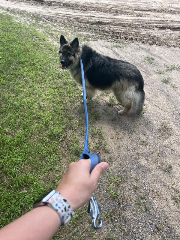 RUFFWEAR Roamer Polyester Running Traffic-Handle Dog Leash, Orion Blue ...