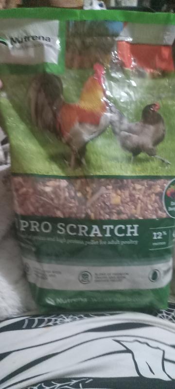 NUTRENA Hi Pro Chicken 12% Protein Scratch Grains & Protein Pellets, 7 ...