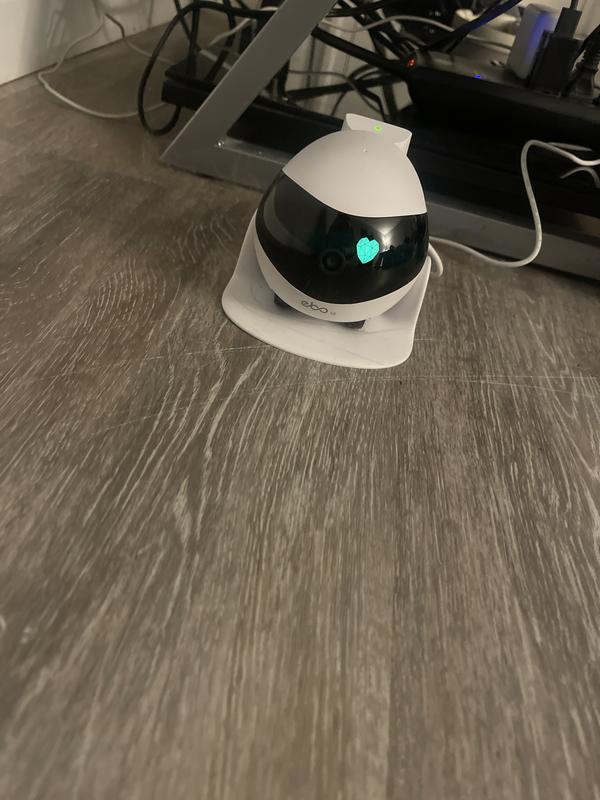 ENABOT EBO SE Automatic Smart Robot Camera - Chewy.com
