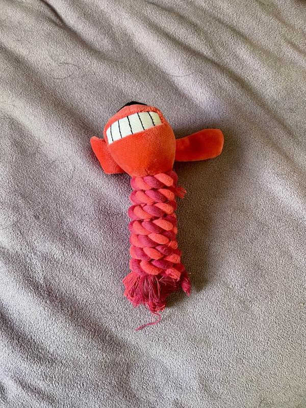 MULTIPET Loofa with Rope Body Squeaky Ropes Tug Dog Toy, Assorted, 10.5 ...