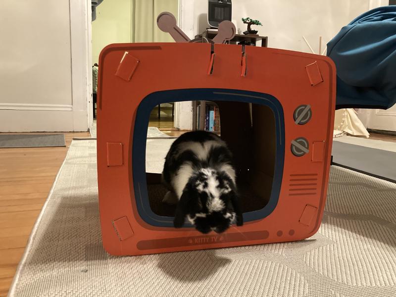 FRISCO TV Set Cardboard Cat House - Chewy.com