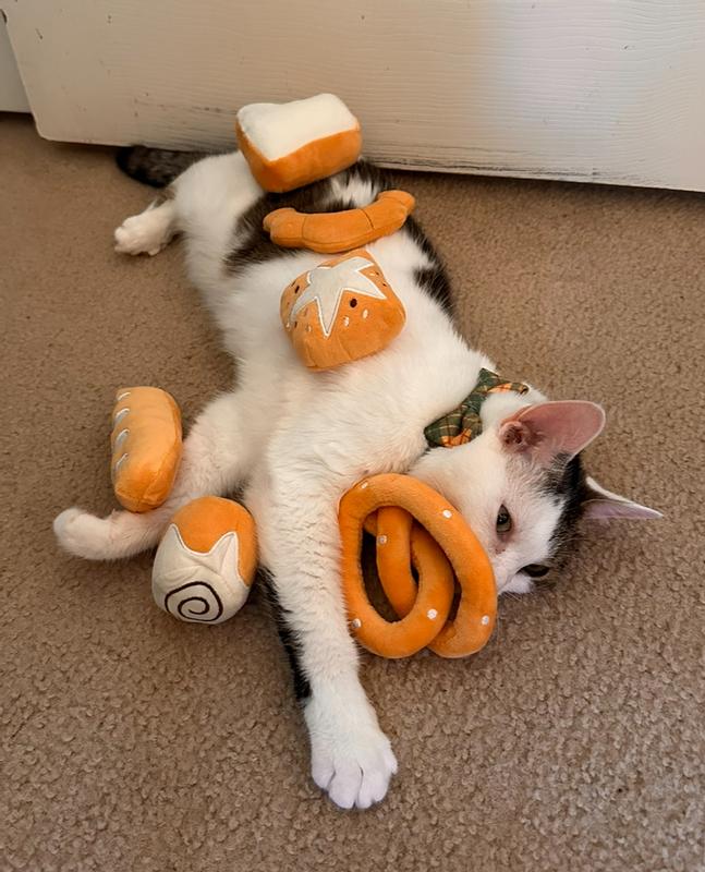 SUNGROW Interactive Bread Plush Indoor Fetch & Play Cat Dental Chew Toy ...