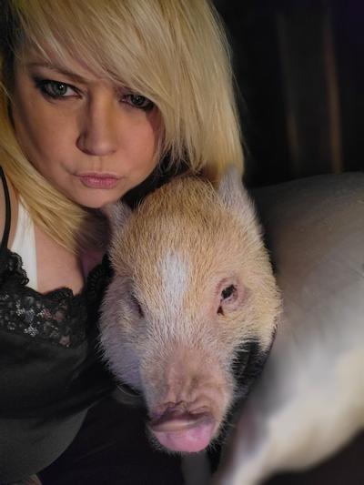 KRUSE'S PERFECTION BRAND Pellet Mini Pig Food, 50-lb bag - Chewy.com