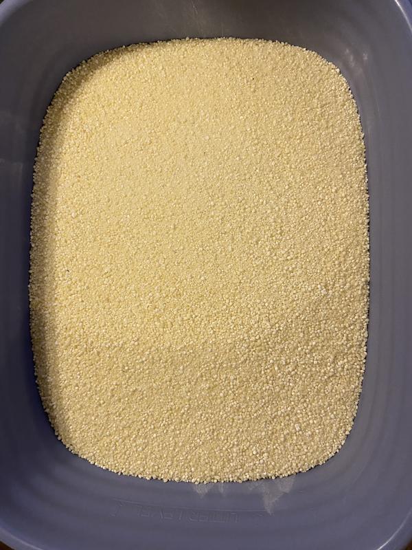 SUSTAINABLY YOURS Mixed Grains Unscented Clumping Corn Cat Litter, 10 ...