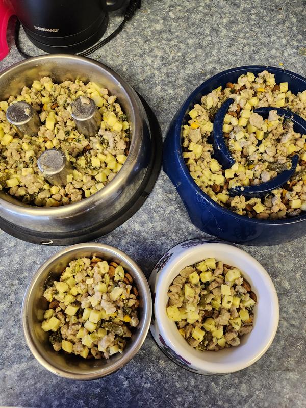 NOM NOM Freshly-Made Frozen Grain-Free Pork Potluck Dog Food, 14-oz ...