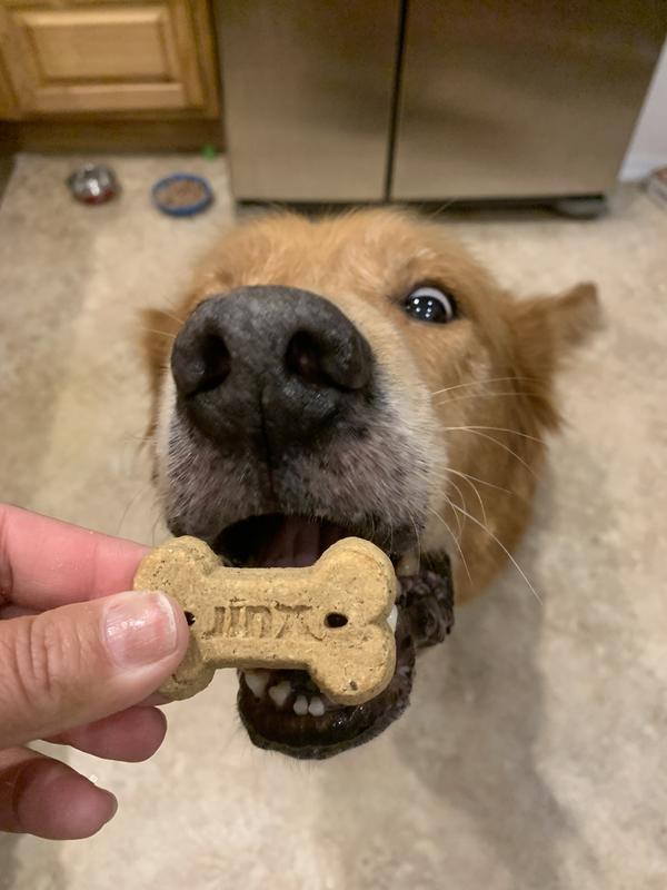 JINX Beef & Bone Broth Biscuits Crunchy Dog Treats, 16-oz bag - Chewy.com