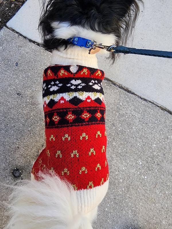 FRISCO Nordic Pawprint Dog & Cat Sweater, XX-Large - Chewy.com