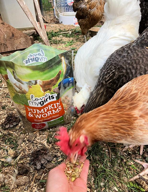 LOVE MY GIRLS Pumpkin & Worms Corn-Free Gourmet Chicken Treats, 2-lb ...