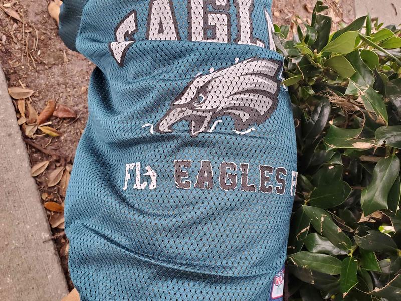 PETS FIRST NFL Dog & Cat Raglan Jersey, Philadelphia Eagles, Medium ...