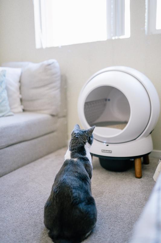 PETSAFE ScoopFree SmartSpin Self-Cleaning Cat Litter Box - Chewy.com