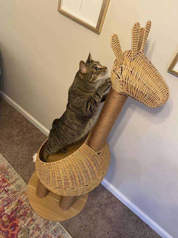 FRISCO Giraffe 51" Wicker Cat Tree & Condo - Chewy.com