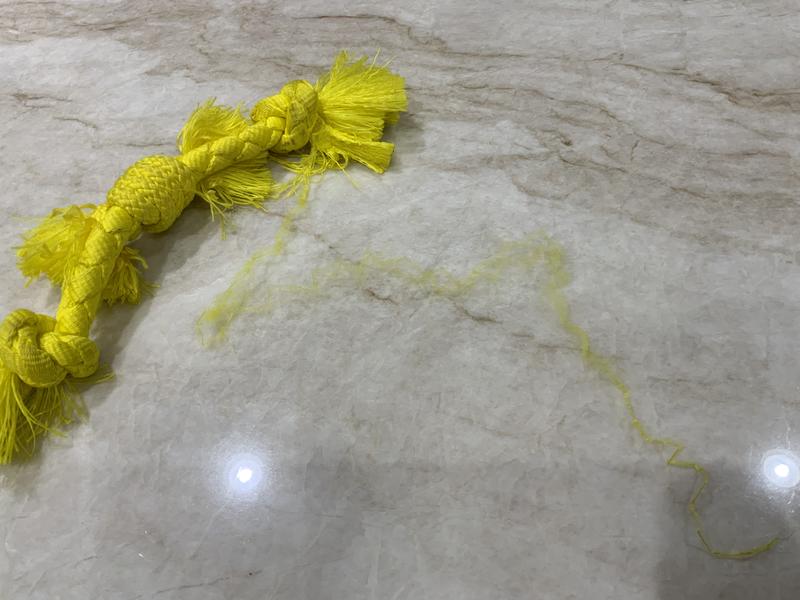 PLAYOLOGY Chicken Scented Young & Active Sensory Rope Dog Toy, Small ...