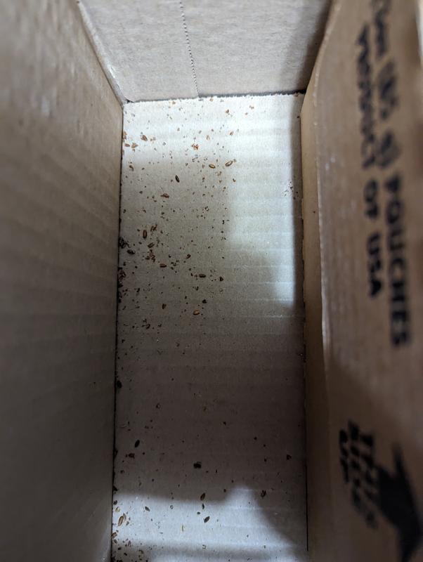 MERRICK Backcountry Grain-Free Morsels in Gravy Real Rabbit Recipe Cuts ...