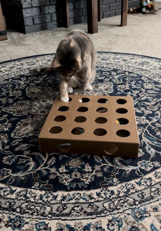 FRISCO Interactive Wooden Cat Toy Box with Catnip - Chewy.com