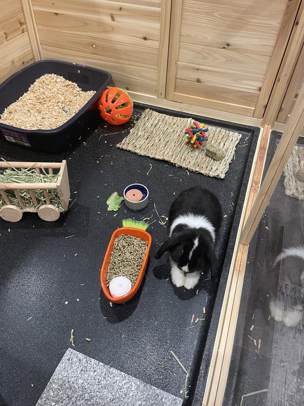 Out of Stock - ZYLINA Raised House Small Pet Habitat, Natural Wood, 48 ...