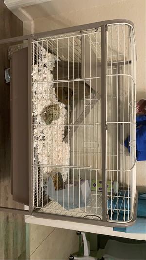 PREVUE PET PRODUCTS Small Animal Cage, Coco & White - Chewy.com