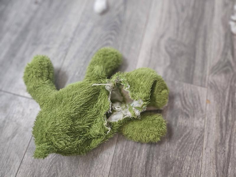 KONG Cozie Ali the Alligator Dog Toy, Small - Chewy.com