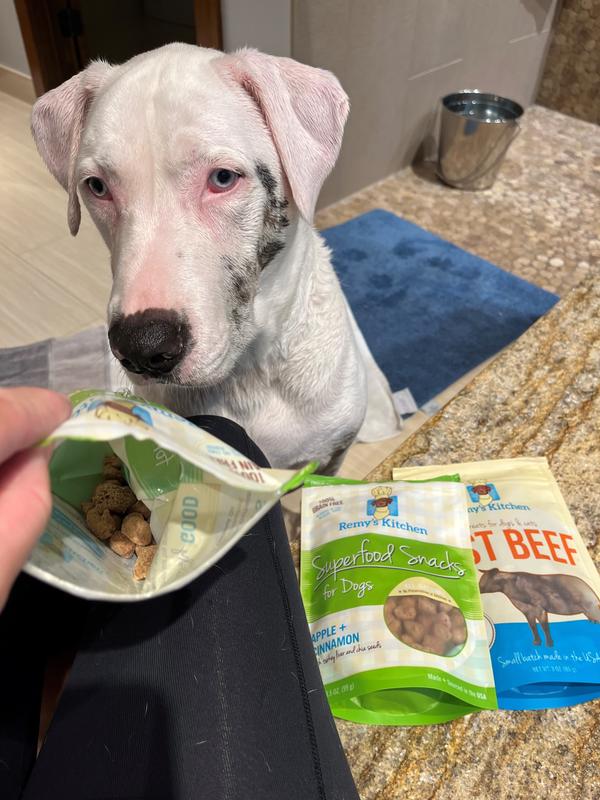 REMY'S KITCHEN Superfood Snacks Apple & Cinnamon Flavor Grain-Free ...