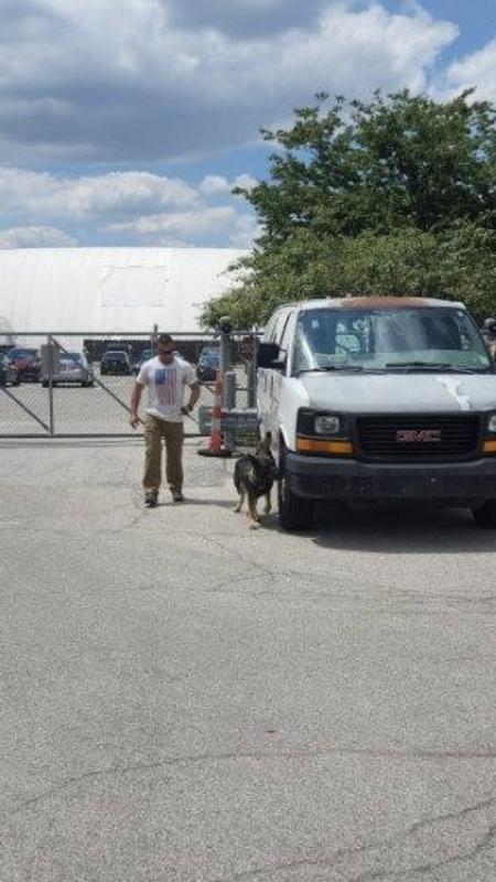 KINETIC Performance Active 26K Formula Dry Dog Food, 35-lb bag - Chewy.com