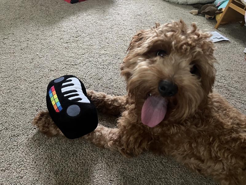 BARK Wonder Keyboard Squeaky Plush Dog Chew Toy, Small/Medium - Chewy.com