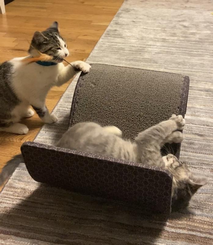 SMARTYKAT Scratch Scroll Cat Scratcher with Feather Toy, Color Varies ...