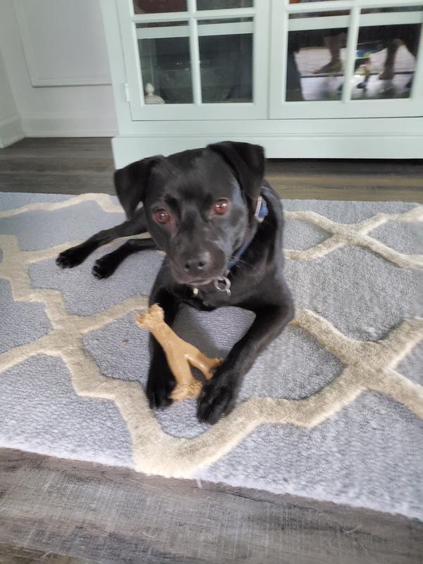 BENEBONE Chicken Flavor Dental Tough Dog Chew Toy, Large - Chewy.com