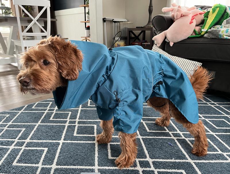 FRISCO Water Resistant Dog Raincoat, Blue, XX-Large - Chewy.com