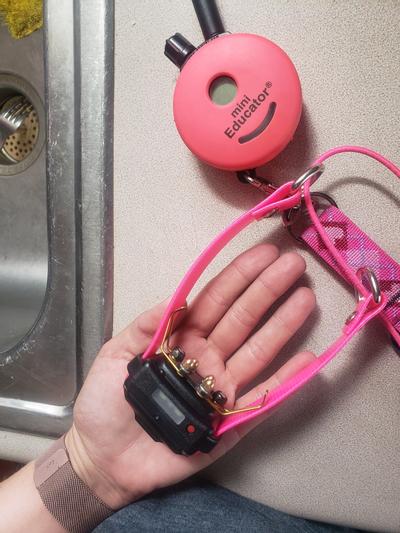 EDUCATOR By E-Collar Technologies Educator Winged Soft Comfort Pad ...