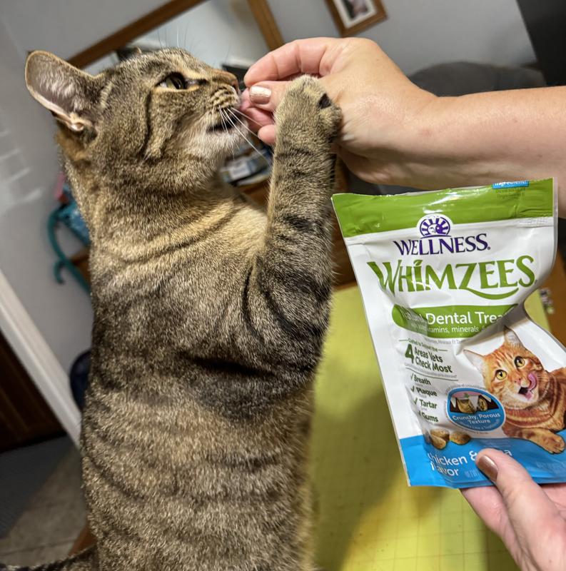 WHIMZEES by Wellness Natural Chicken & Tuna Dental Cat Treats, 4.5-oz ...