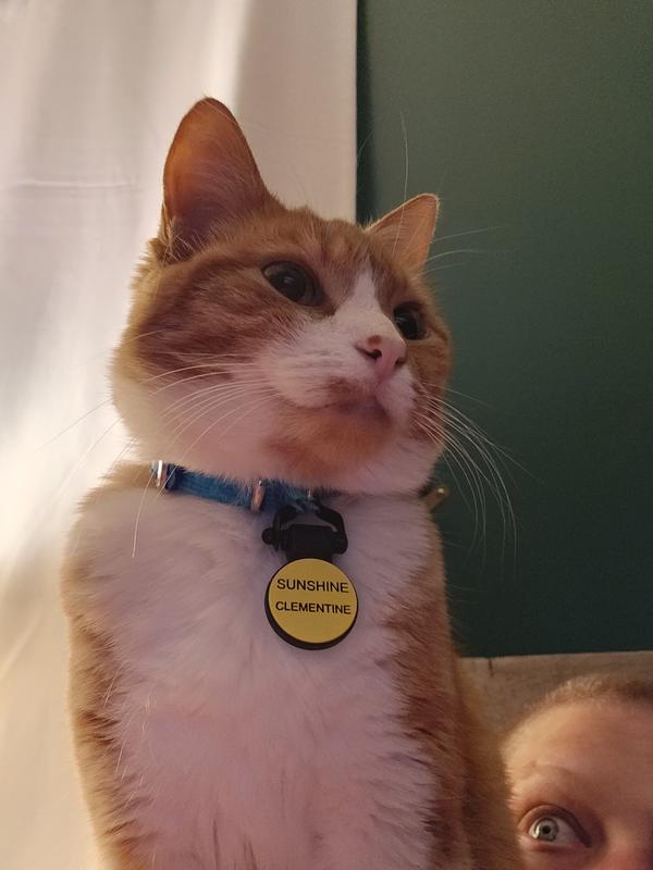 SILIDOG The Silent Pet Tag Silicone MiniTag Personalized Dog & Cat ID ...