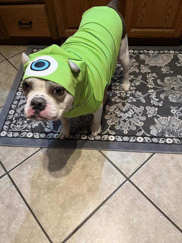 Discontinued - FETCH FOR PETS Disney Pixar Halloween Monsters Inc Mike ...