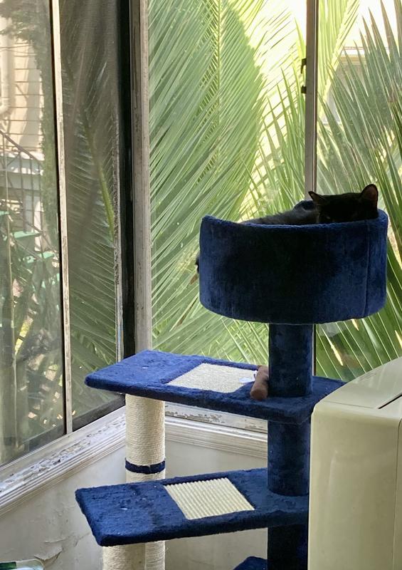 ELITEFIELD 40-in Faux Fur Cat Tree, Black - Chewy.com