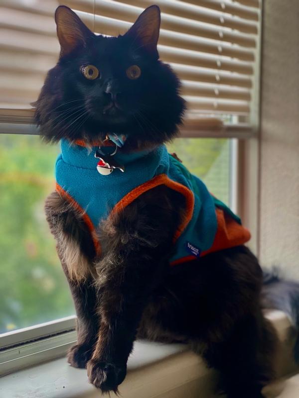 FRISCO Light Weight Utility Colorblock Fleece Dog & Cat Vest, Medium ...